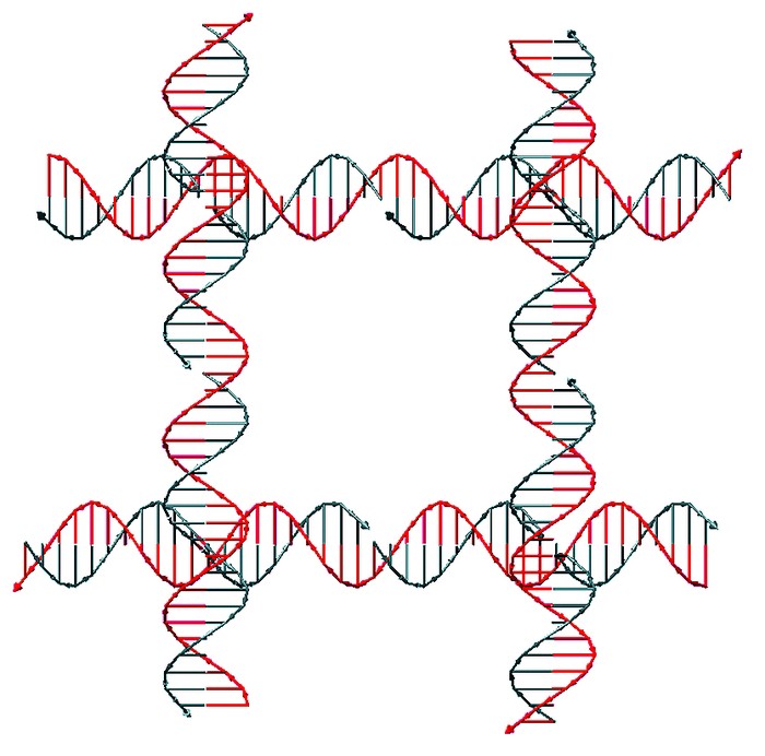 DNA Weaved Into A Gridiron
