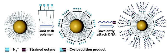 DNA-Driven-Assembly-Nanoparticles