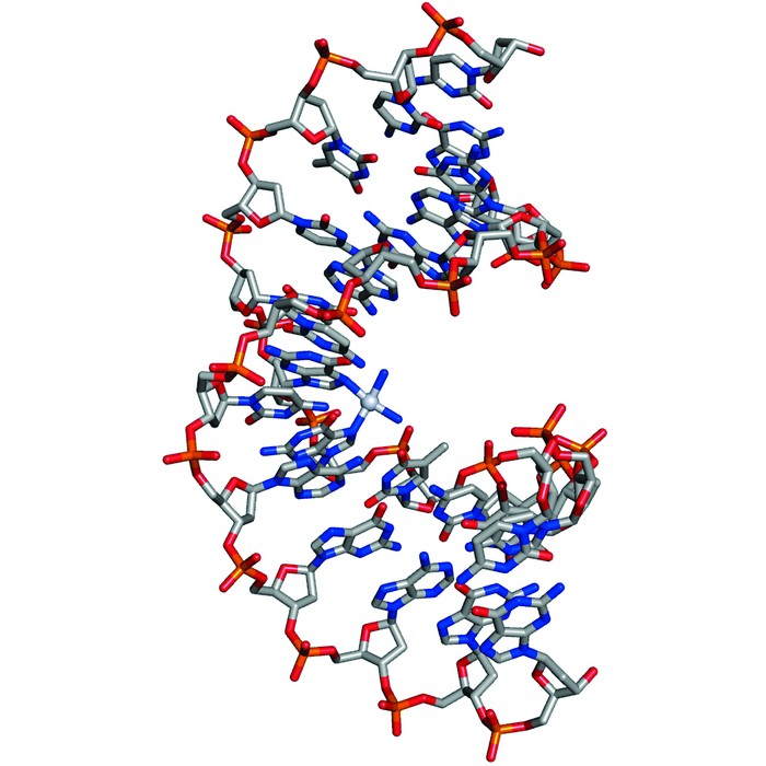 Stephen Lippard Named Priestley Medalist