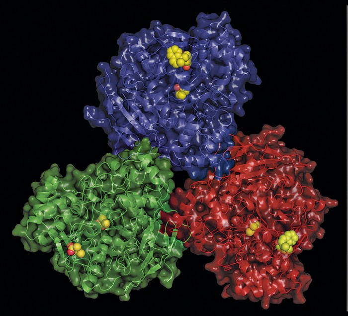 A Bioshield Against Chemical Weapons