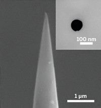 New-Pipette-Picks-Single-Cells