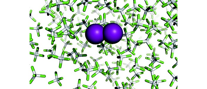 Bond Making Captured In Real Time