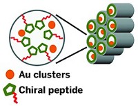 Modified-Gold-Particles-Serve-Chiral