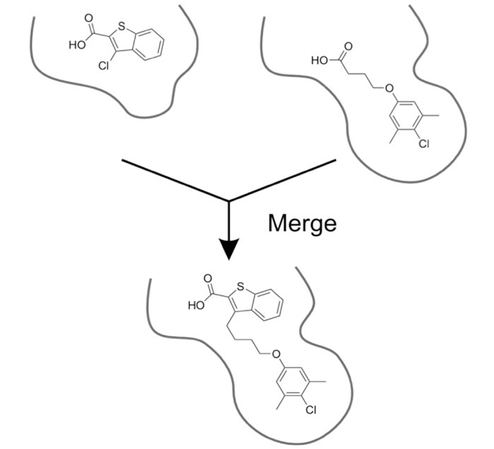 Taking Multiple Shots At Drug-Resistant Cancer