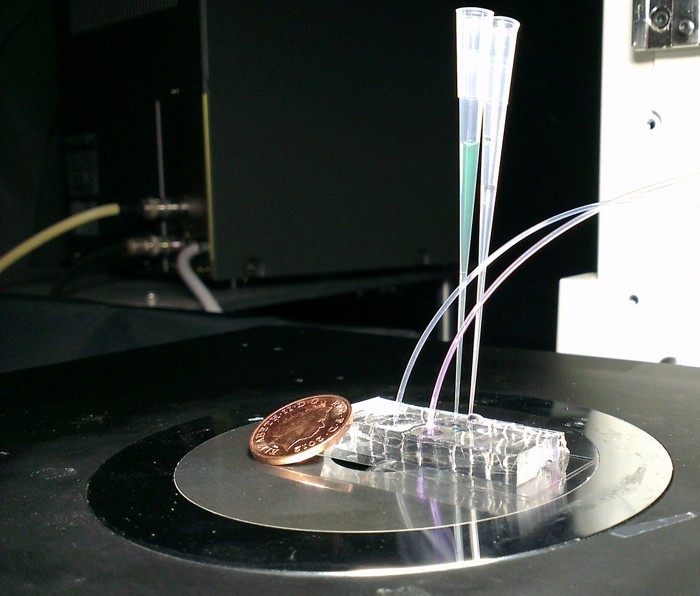 Microfluidic-Device-Helps-Scientists-Capture