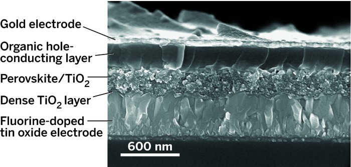 Lead-Free Perovskite Solar Cells
