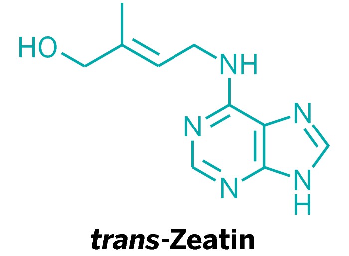 Plant Growth Regulator Hitches A Protein Ride