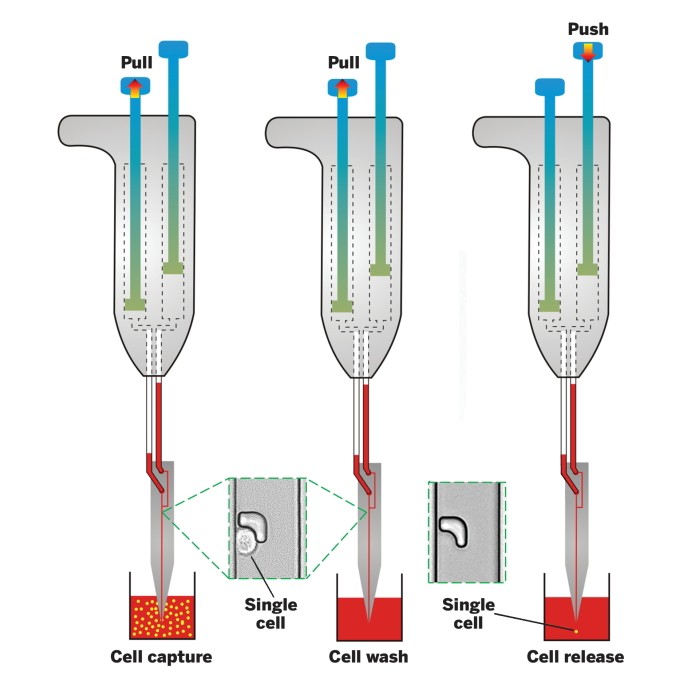 New Pipette Picks Up Single Cells