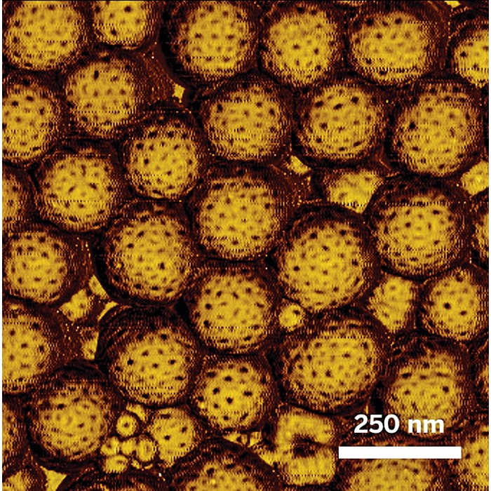 New-Polymer-Nanocapsules-Come-BuiltChannels