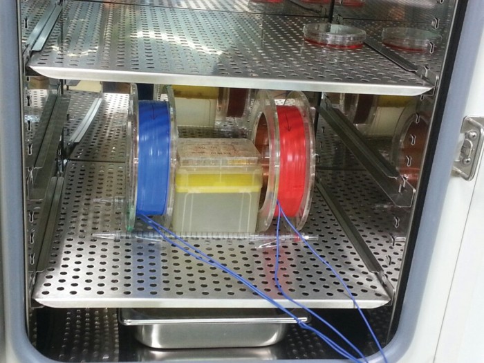 Magnetic Fields Encourage Cellular Reprogramming