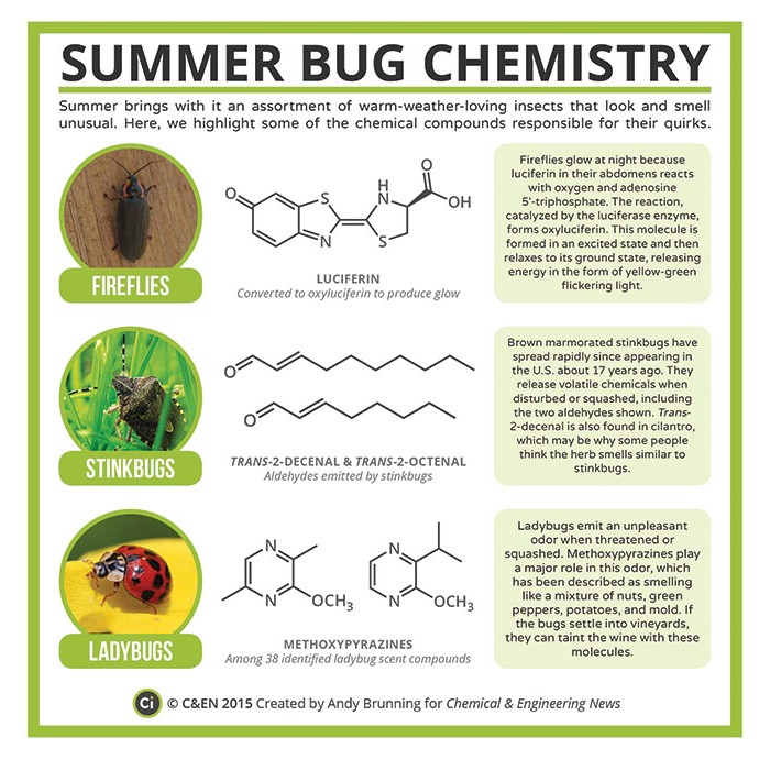 Periodic Graphics: Summer Bug Chemistry