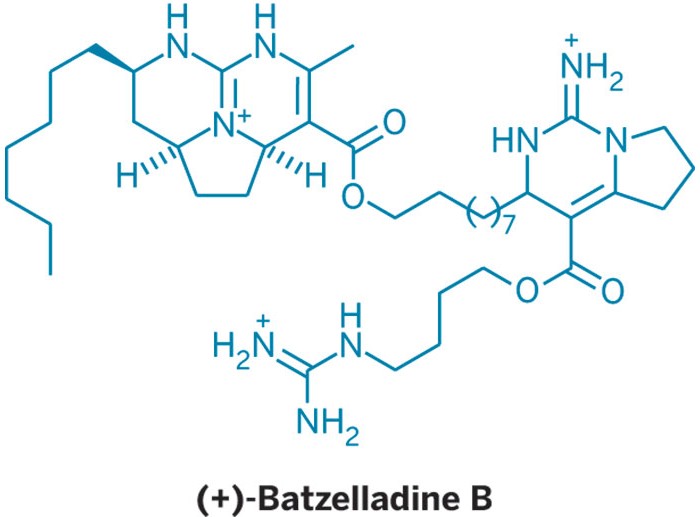 Aromatic Approach To (+)-Batzelladine B﻿