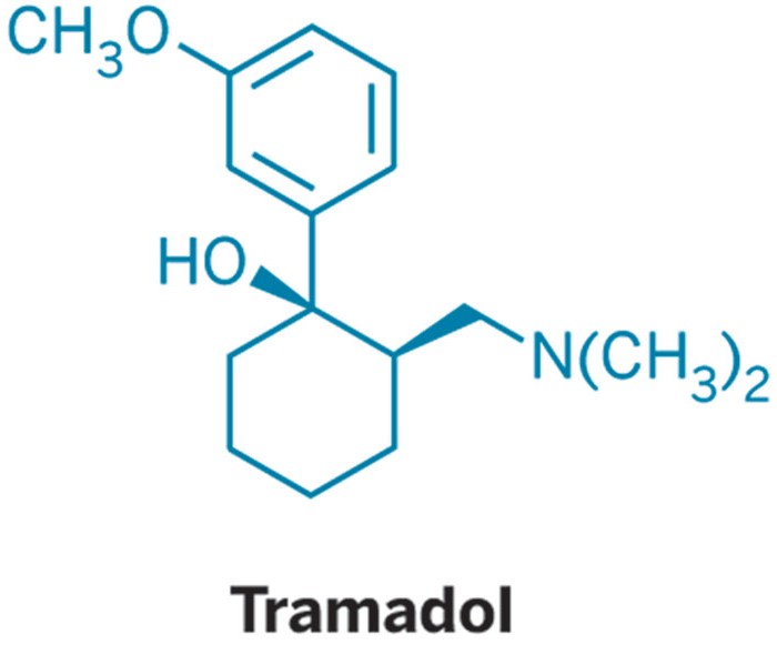Tramadol Is Contaminant, Not Natural Product