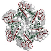 The structure of bleach