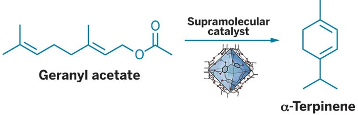 Molecular Capsules Catalyze Terpene Cyclization
