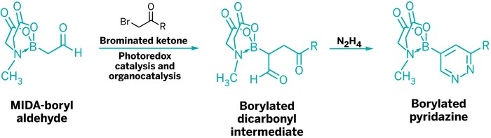New Route To Rare Heterocycles