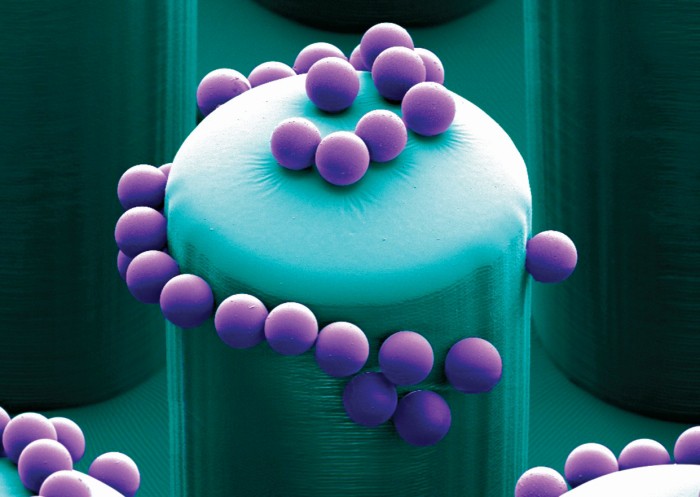 Micropillars are gentle dust busters