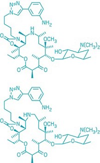 Slimming vancomycin synthesis to make it big