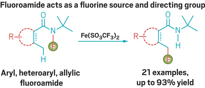 Fluoroamide-fluorinates-itself