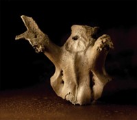 Uncovering the chemical secrets of burned bones﻿