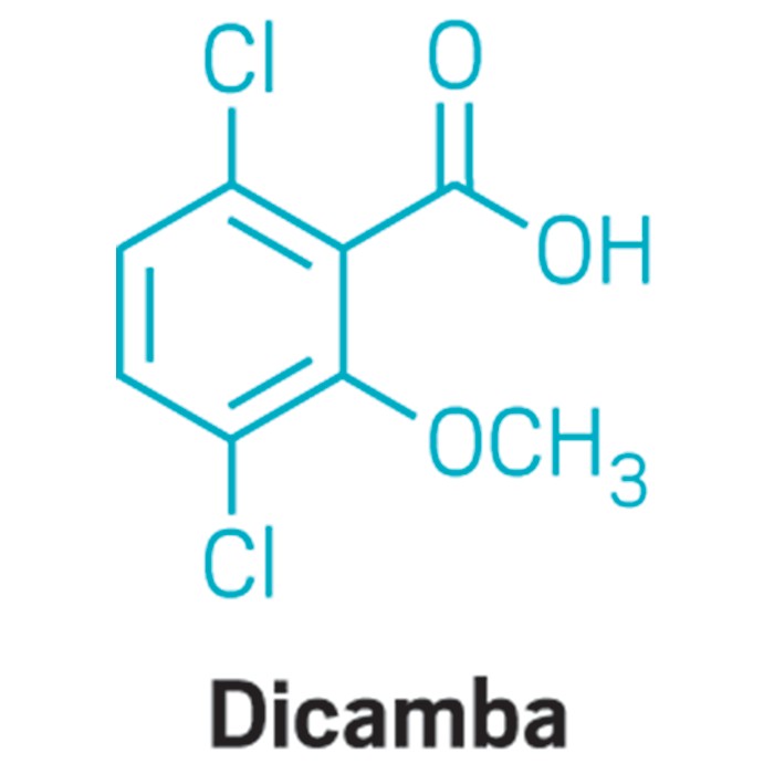 EPA approves dicamba use on modified crops