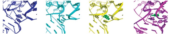 X-ray technique captures fast ligand-binding dynamics