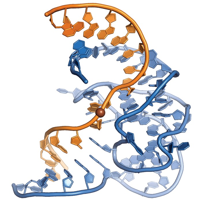 Biological-structures-year