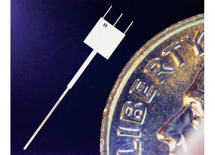 Tiny Probe Samples Chemicals Within Live Brains