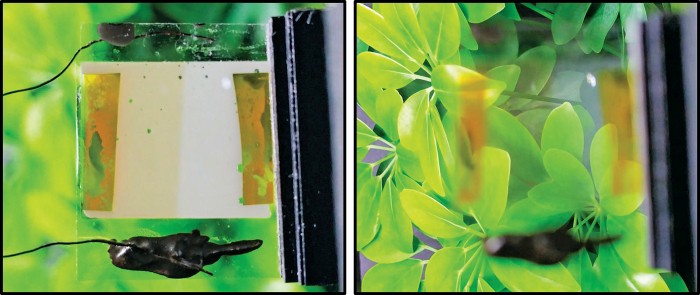 A smart window powers itself