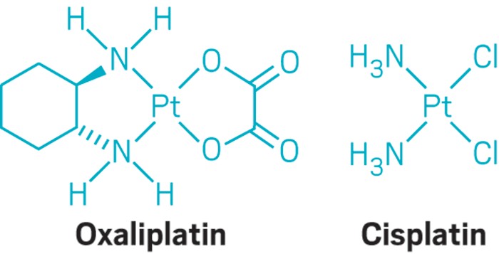 Platinum-containing cancer drugs have different mechanisms
