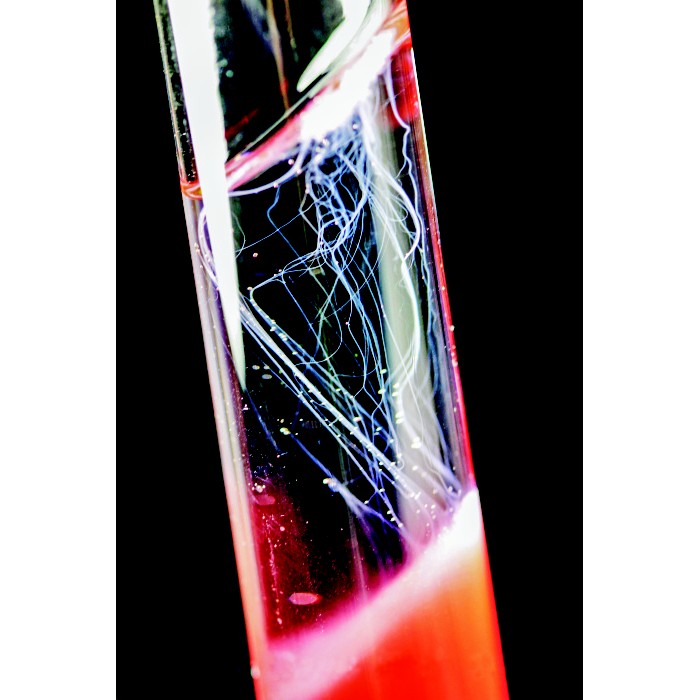 C&EN’s Chemistry in Pictures Photo Contest