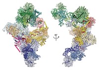 Save Space Genomic Dna Packaged