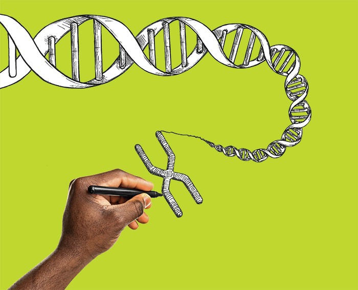Writing the human genome