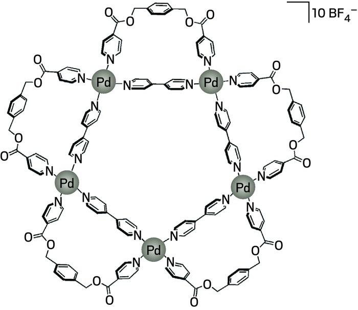 new-molecular-star-born