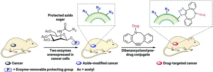 Pinning-bulls-eye-cancer-cells