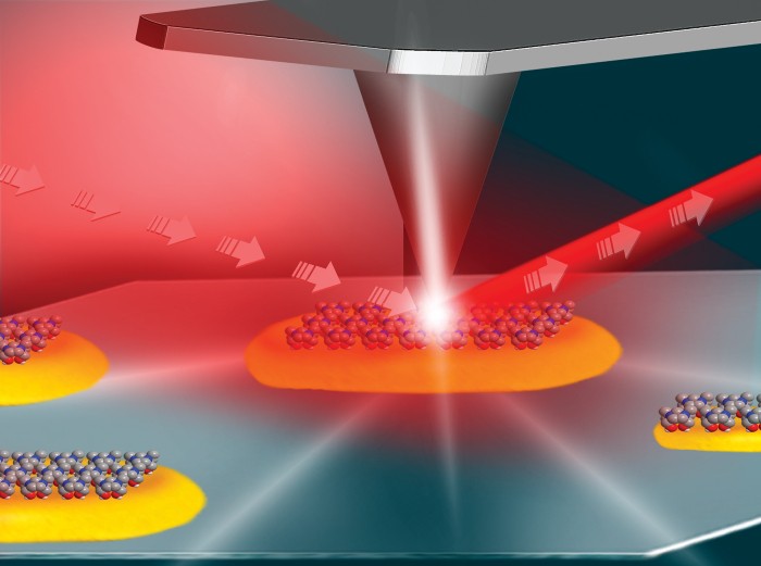 Scanning probes investigate nanoscale phenomena
