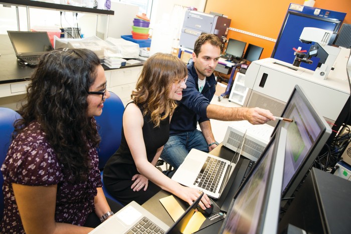 Perlara signs pacts with Grace Science and Wylder Nation Foundation