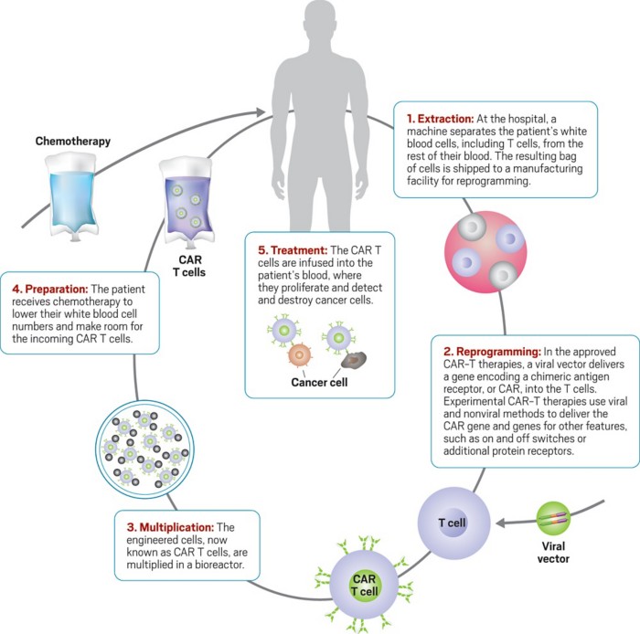 T Cell Gene Therapy
