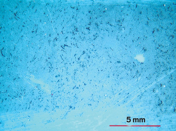 California wildfires caused unexpected benzene contamination of ...