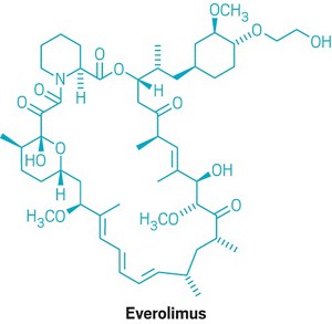 EVEROLIMUS – Drug Approvals International