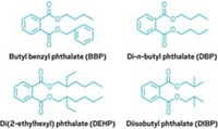 EU regulators eye 34 bisphenols for restriction