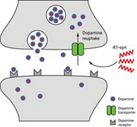 Cancer-Protein-Aggregation-Disease