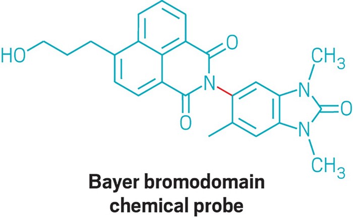 Giving atropisomers another chance