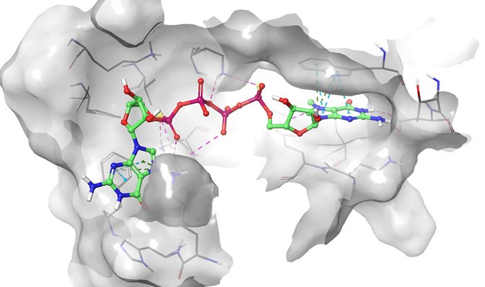Can mRNA disrupt the drug industry?