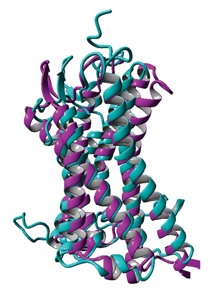 Following a code for swapping amino acids makes membrane proteins water ...