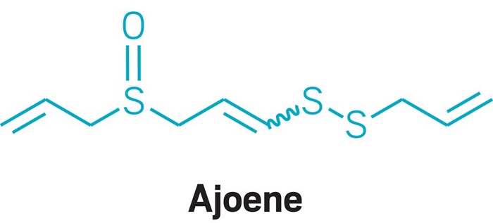 Chemists devise efficient route to garlic compound