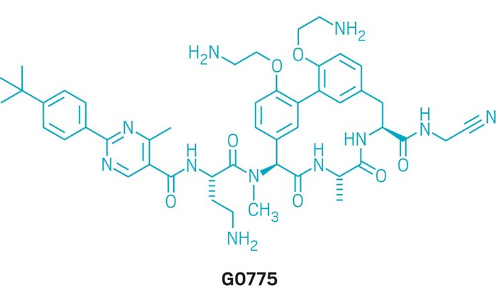 Aryl compound attacks Gram-negative bacteria in a new way