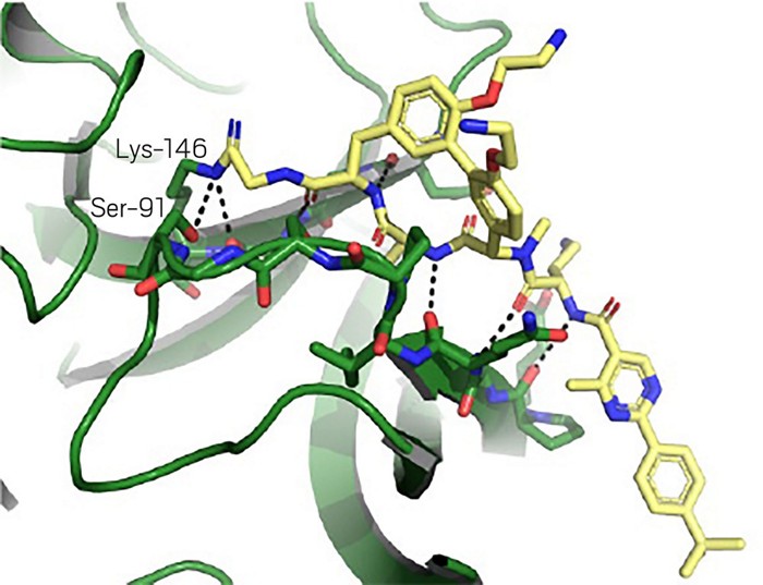 Aryl compound attacks Gram-negative bacteria in a new way