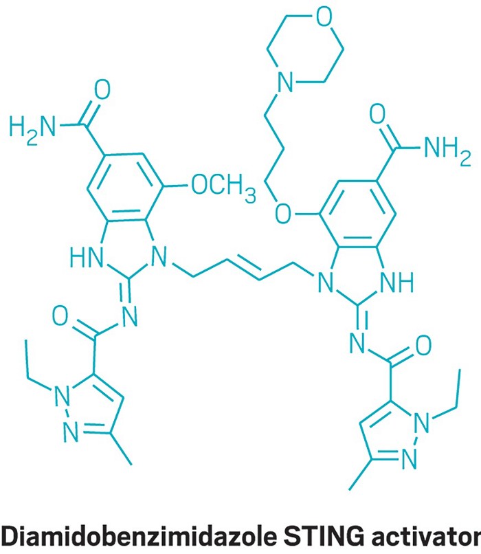 STING-activating molecule fights tumors via systemic delivery