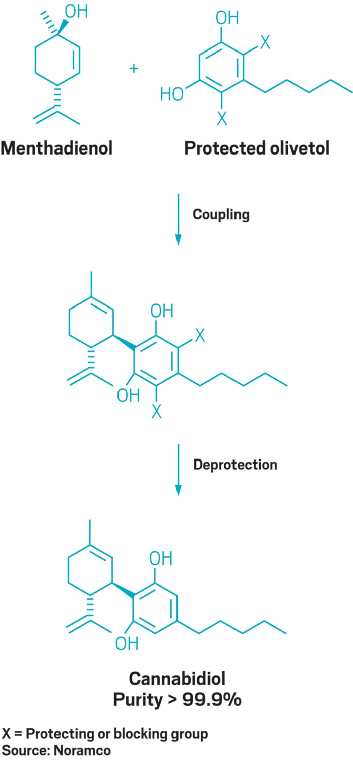 Natural extracts and synthetics square off as cannabinoid drugs - CBD ...